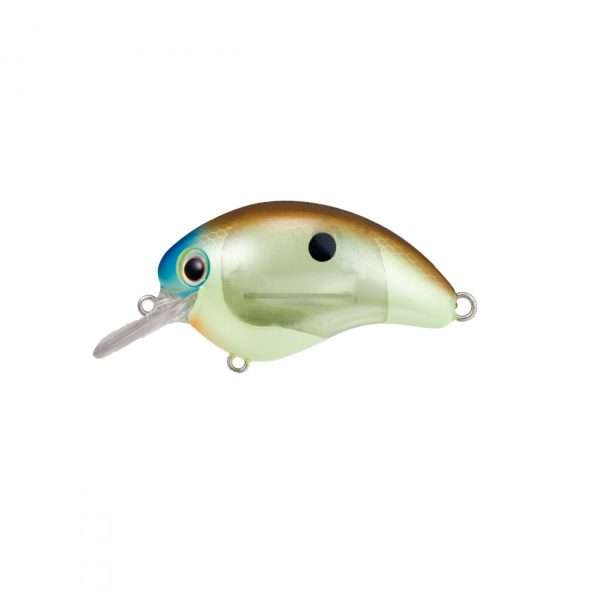 SHIMANO BT World Rush Flash Boost, Fishing Lure, Crankbait Black Gold ...